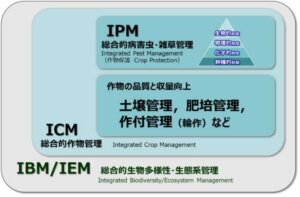 総合的作物管理「ICM」とは？ IPMやIBMとの違いは？ | AGRI JOURNAL